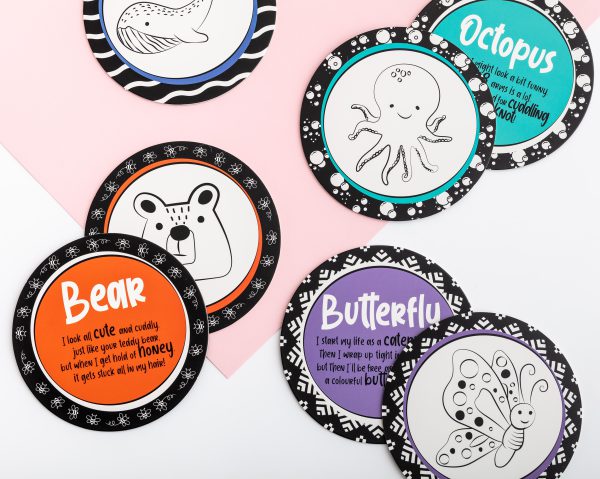 Animal Poem Sensory Cards | Kiddies Corner